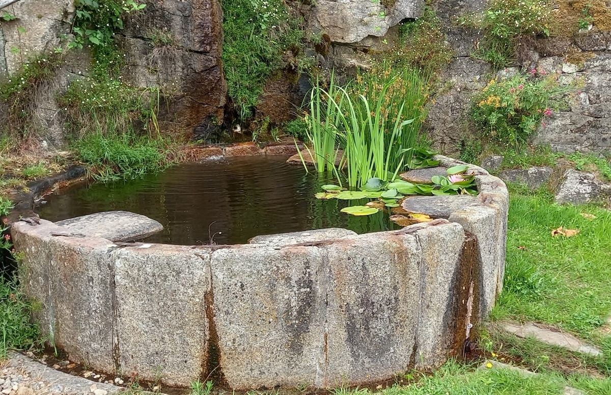 Biographie : Berty Albrecht, une vie de résistance – Regards protestants